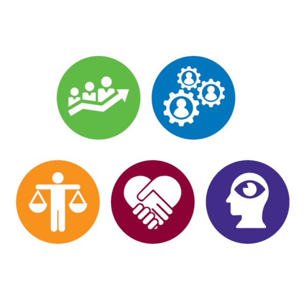 Our Constitution and Governance - NHS Somerset ICB