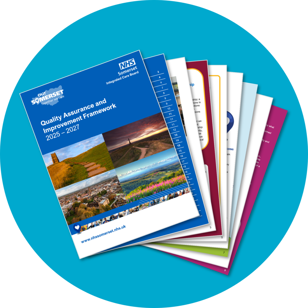 Quality assurance and improvement framework - NHS Somerset ICB